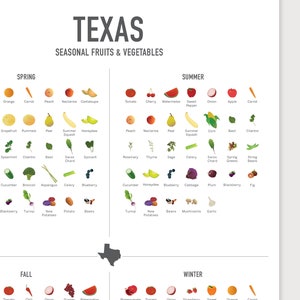 TEXAS Four Seasons Poster, Fruit and Vegetable, Seasonal Food Chart ...