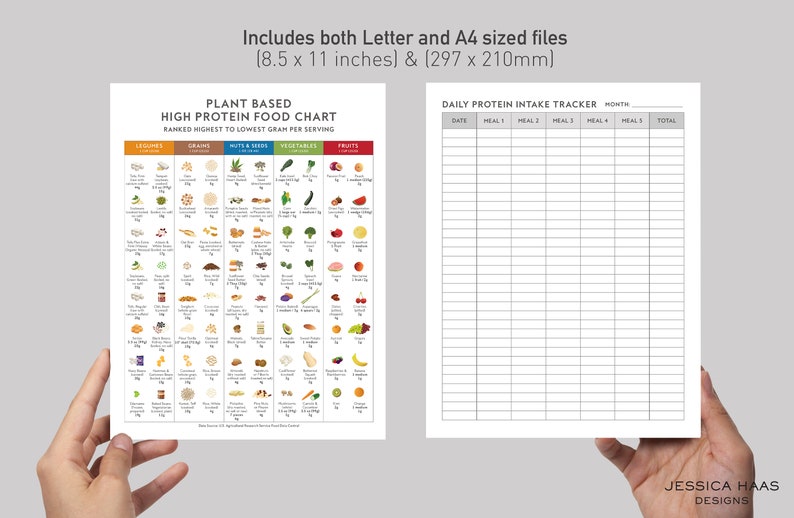 Plant Protein Food Chart – Keto Diet, Vegan Nutrition (digital Download ...