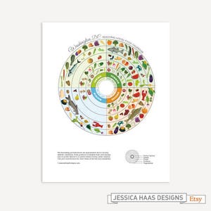 Washington D.C. Local Food Seasonal Guide Print | Etsy