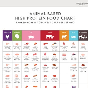 ANIMAL PROTEIN Food Chart Poster - Top Protein Rich Meats Keto Food ...