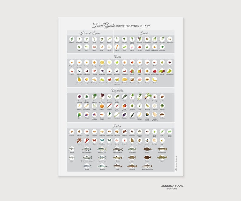 Food Identification Guide, Digital Print, Health Food Chart, Printable ...