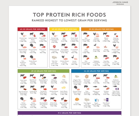 Protein Chart Food Protein Chart Printable Nutrition Daily Protein