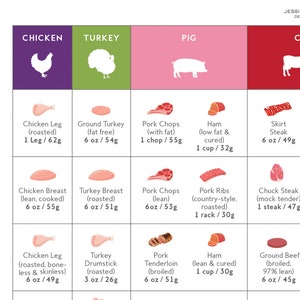 ANIMAL PROTEIN Food Chart Poster - Top Protein Rich Meats Keto Food ...