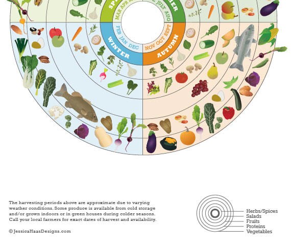 GEORGIA Seasonal Produce Chart *Framed or Unframed* in Various Sizes ...