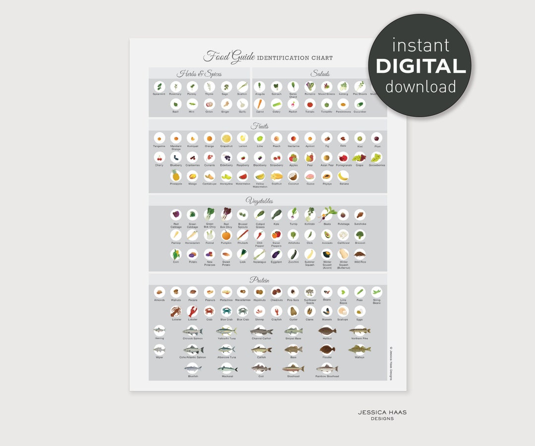 Food Identification Guide, Digital Print, Health Food Chart, Printable ...