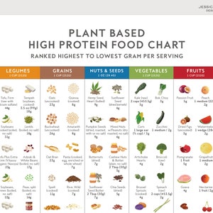Plant Protein Food Chart – Keto Diet, Vegan Nutrition (digital Download ...