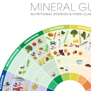 Vitamin & Mineral Food Guide Art – Printable Nutrition Chart (digital ...