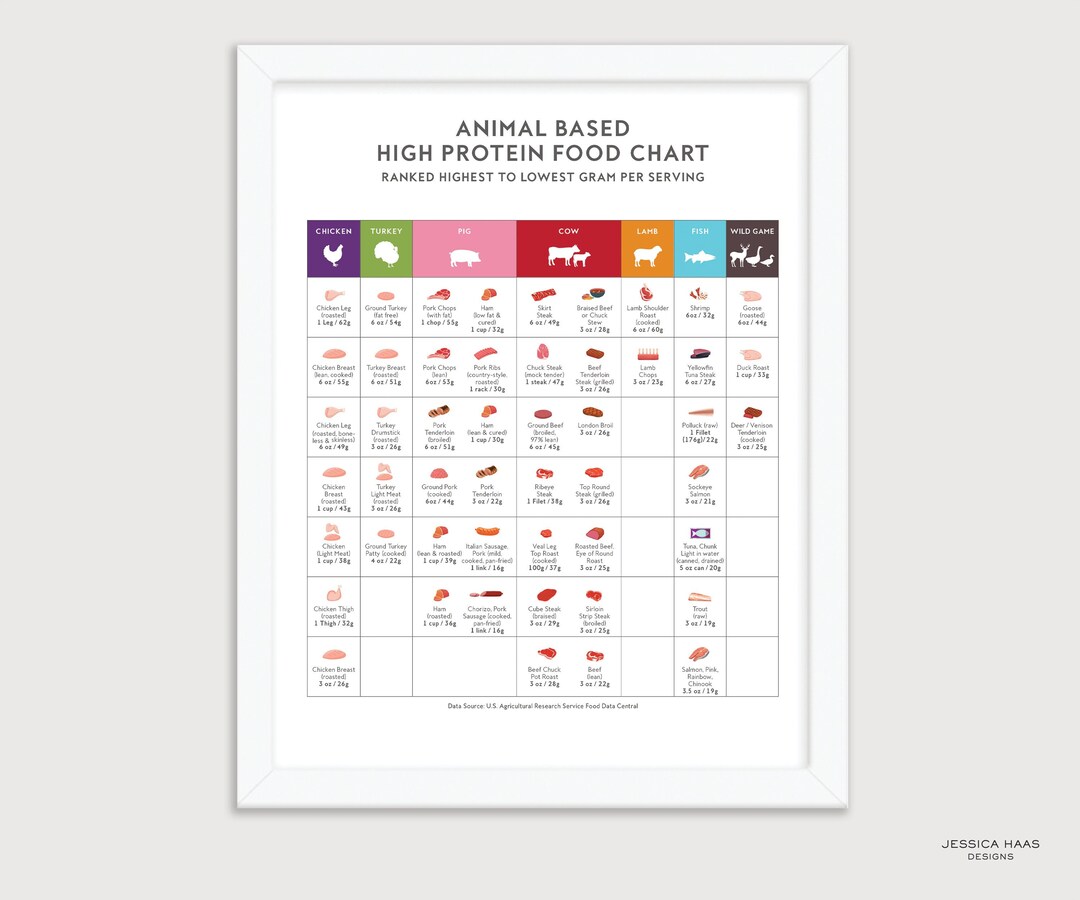 Animal Protein Food Chart Poster – Keto Diet, Nutrition Art Print - Etsy