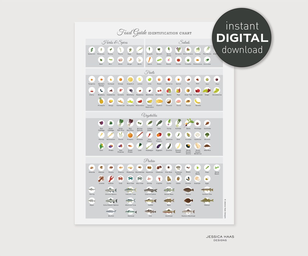 Food Identification Guide Digital Print Health Food Chart - Etsy