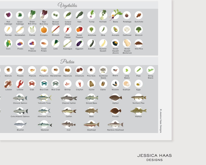 Food Identification Guide, Digital Print, Health Food Chart, Printable ...