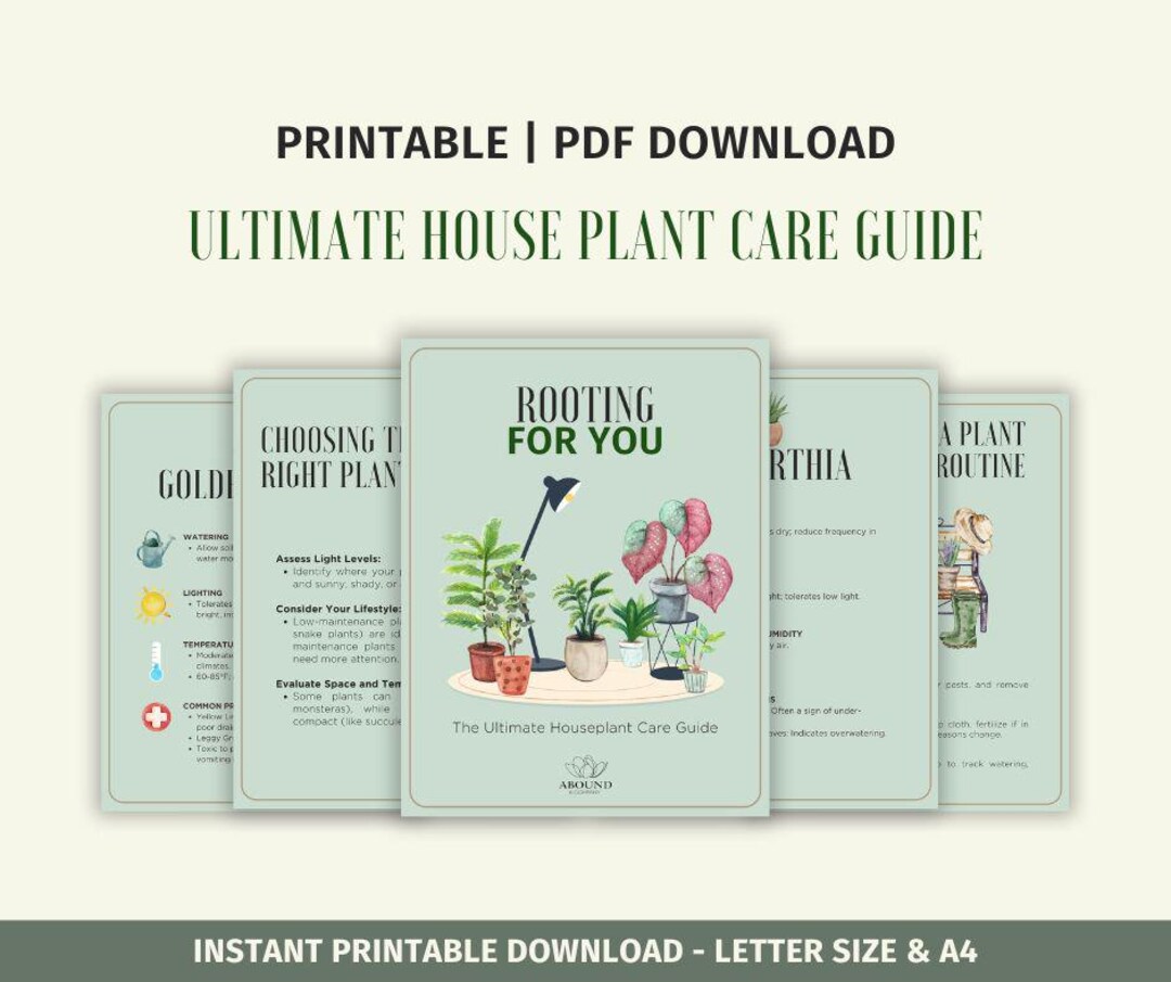 Rooting for You: the Ultimate Houseplant Care Guide - Etsy