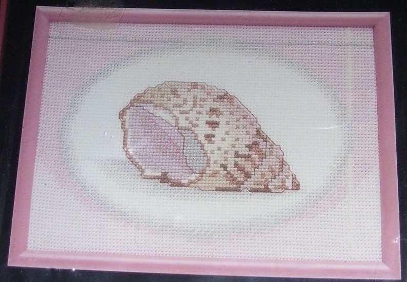 Completed Golden Bee Shell With Pink Background With Frame 60352 ...