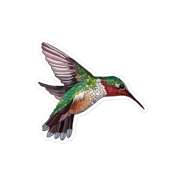 Hummingbird Sticker - Etsy