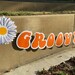 Groovy Bride Banner 6ft Daisy Groovy Bride Banner 70s Theme - Etsy
