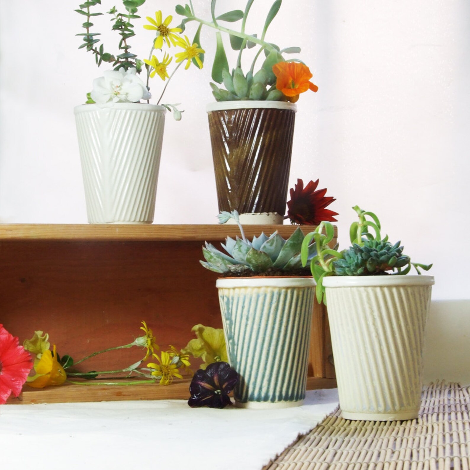 Ceramic Planter for Succulent Pot Plants. Also Perfect as a Cactus Pot ...