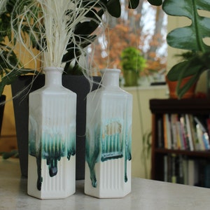 Science Gift Bud Vase Ceramic Vase Poison Bottles Gifts for Doctors ...