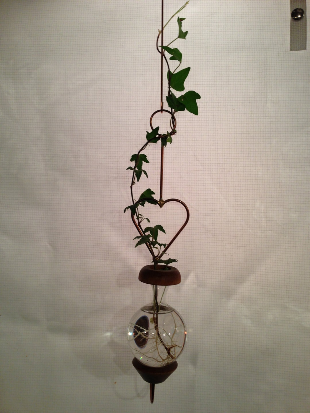 Plant Rooter Mini Heart Design. Mother's Day, Father's Day, Birthday or ...