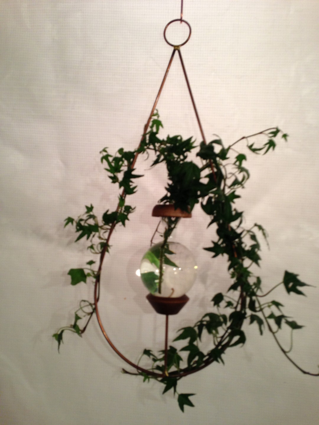 Plant Rooter Tear Drop Style. Father's Day, Christmas, Birthday or Any ...