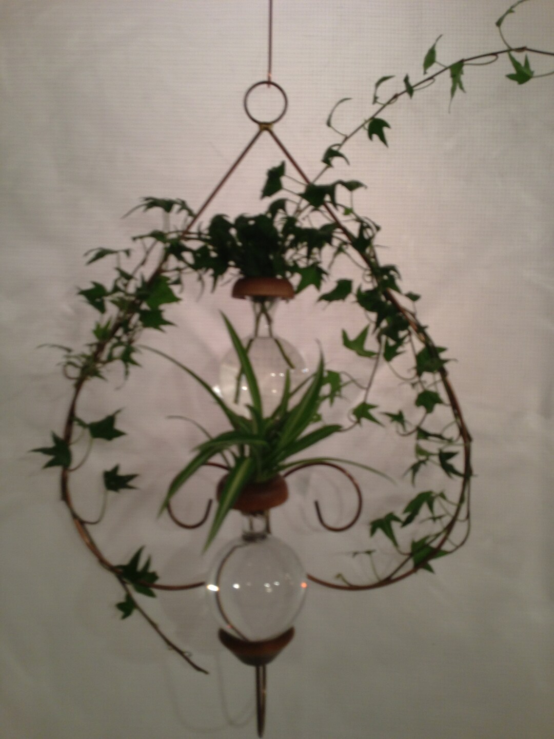 Plant Rooter Double Spade Style. July 4th, Birthday or Any Day free ...