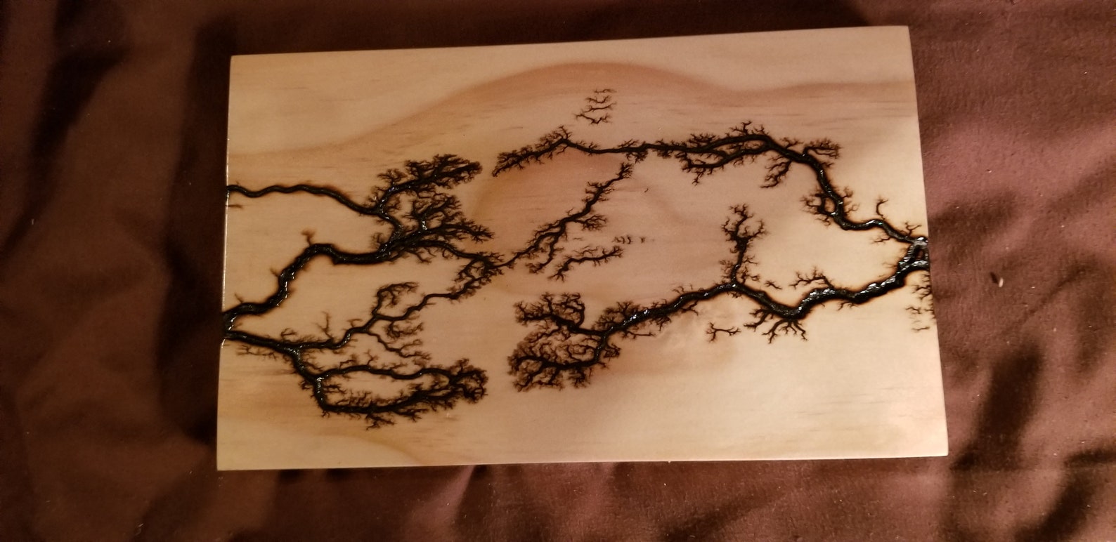 Lichtenberg Wood Burning Art Wall Art Wall Hanging Fractal | Etsy