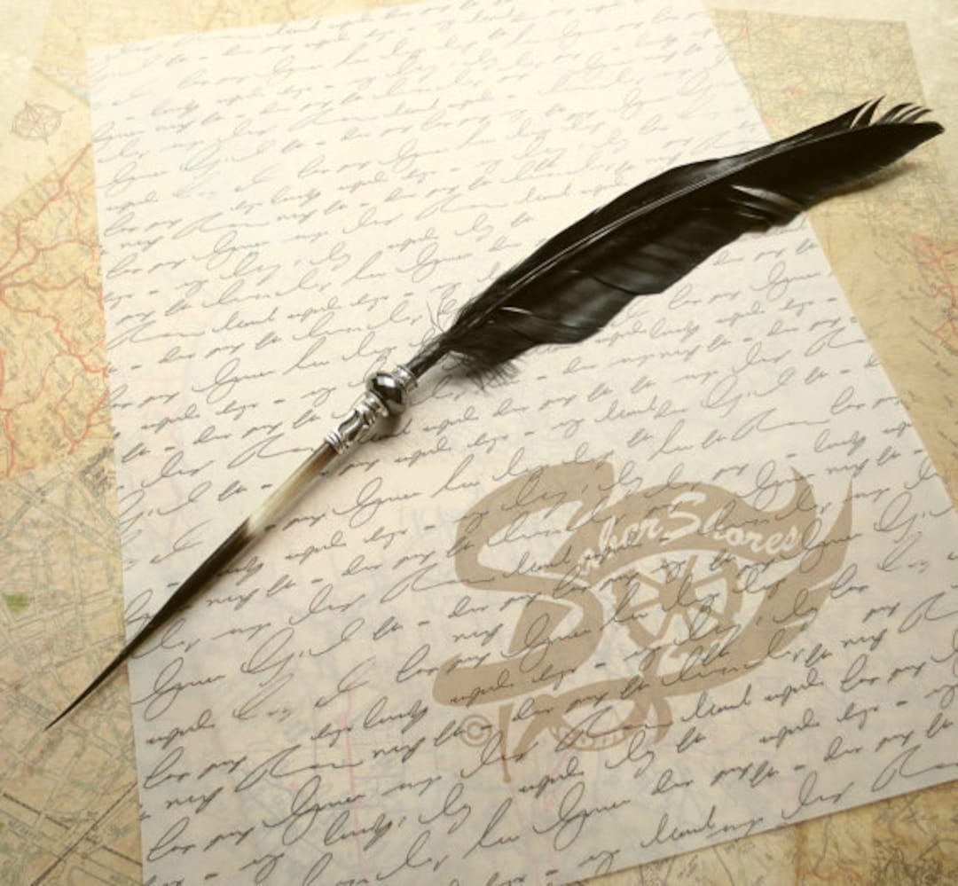 Artist Quill Pen Raven's Wing Ink Dip REAL Porcupine Quill Feather Pen ...