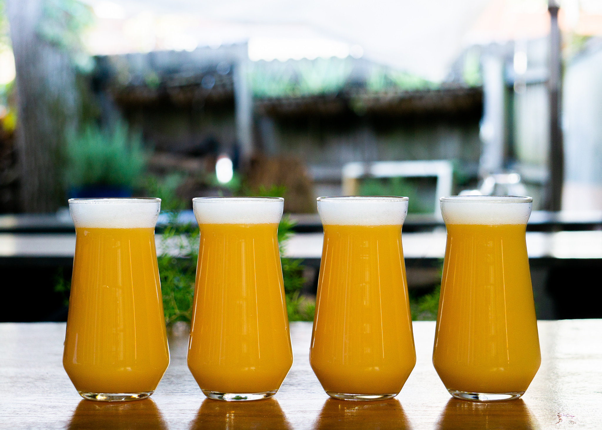 HAZY Ipa Glass Set of 4 Handmade Glassware - Etsy