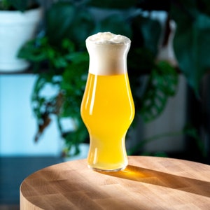 Tulip Beer Glass, Handmade Glassware - Etsy