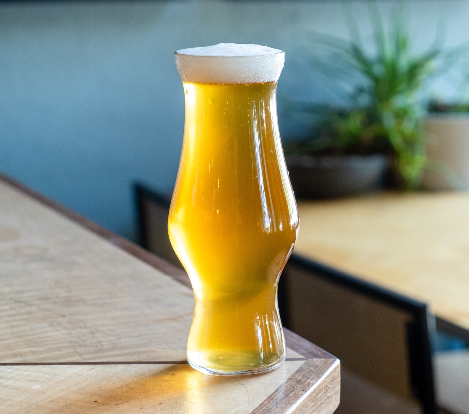 Tulip Beer Glass Handmade Glassware Etsy
