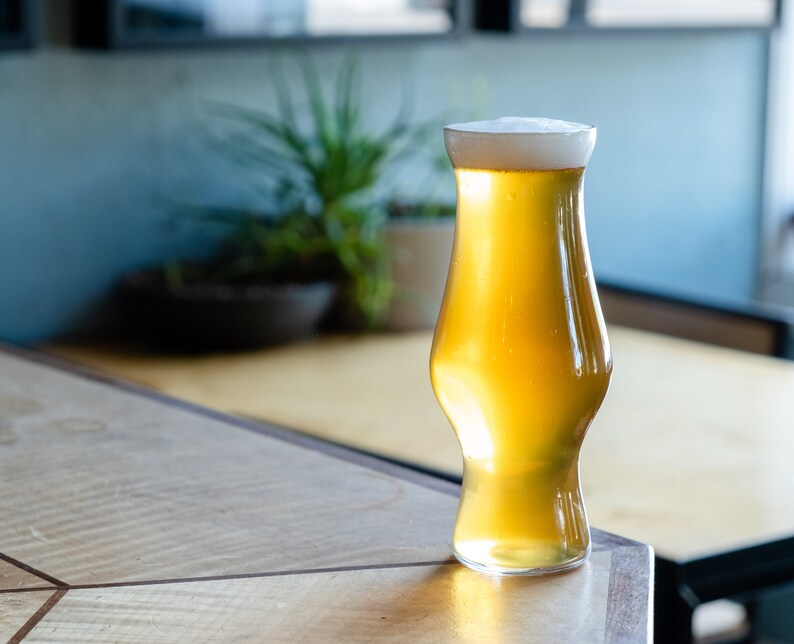 Tulip Beer Glass Handmade Glassware - Etsy