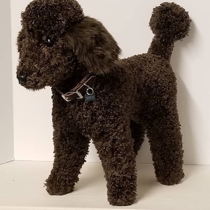 Rufus the French Poodle Created for an Ad Agency for a Campaign. Brown ...