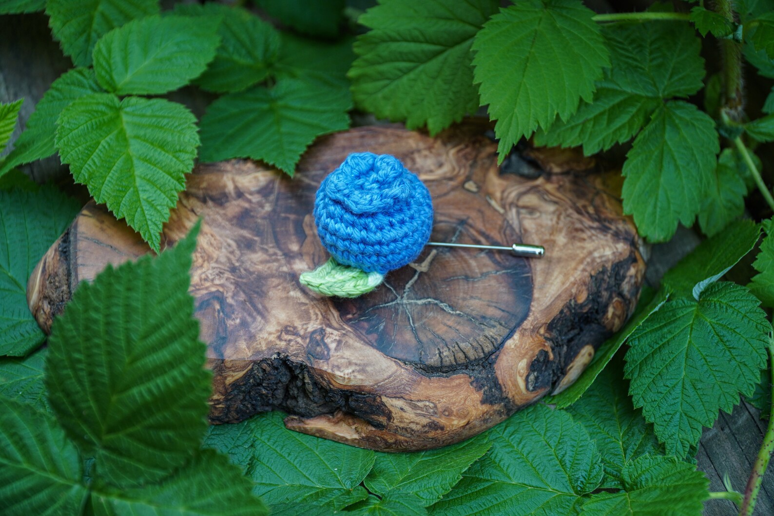 Crochet Blueberry Amigurumi Pattern Crochet Play Food Pattern Eco ...