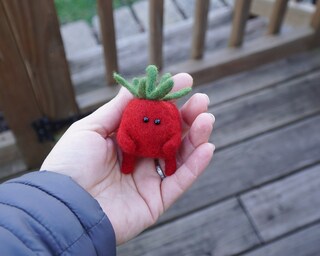 DaisyJoyStore - Etsy