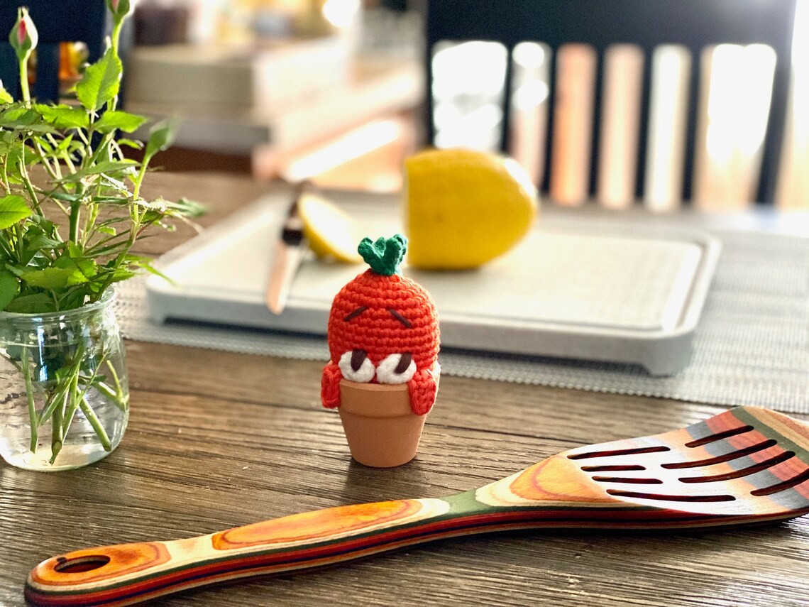 Organic Mini Carrot in Flower Pot cute and funny kitchen decor | Etsy