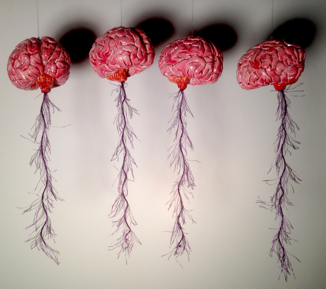 Brain Ornament W/ Spinal Cord, 2-1/4" - Etsy