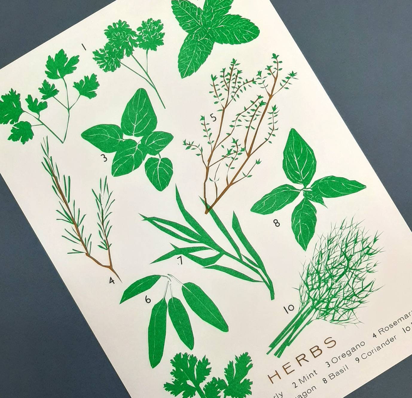 Herb Identifier Herb Chart Riso Print Foodie Gift | Etsy