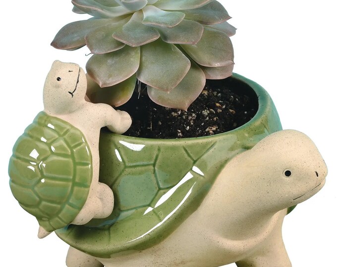 CERAMIC TURTLE With Baby Turtle Hanger PLANTER - Etsy