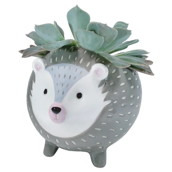 Ceramic Hedgehog - Etsy