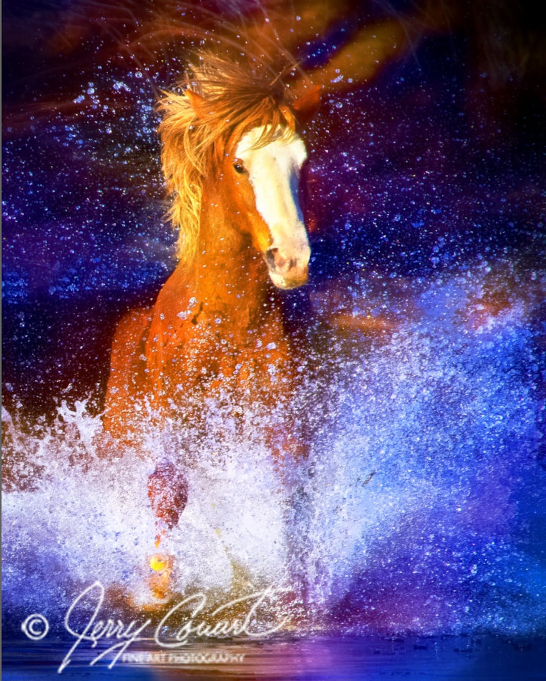 Wild Horses Splashing in Water Photography Prints, Salt River Arizona ...