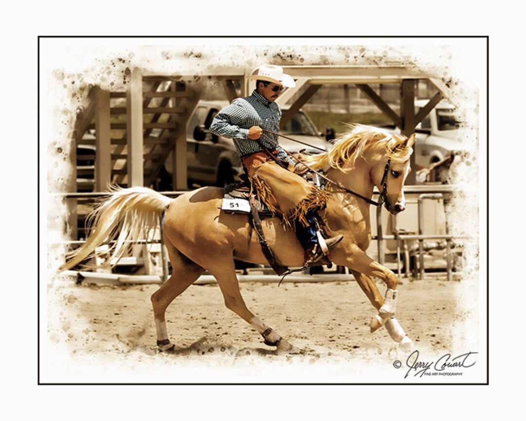 Rodeo Horses, Cowboy Rodeo Horse Riding, Palomino Equestrian Fine Art ...