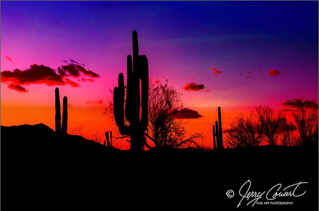 Desert Sunset Photography, Cactus Desert Sunset, Sunset Art Prints, Red ...