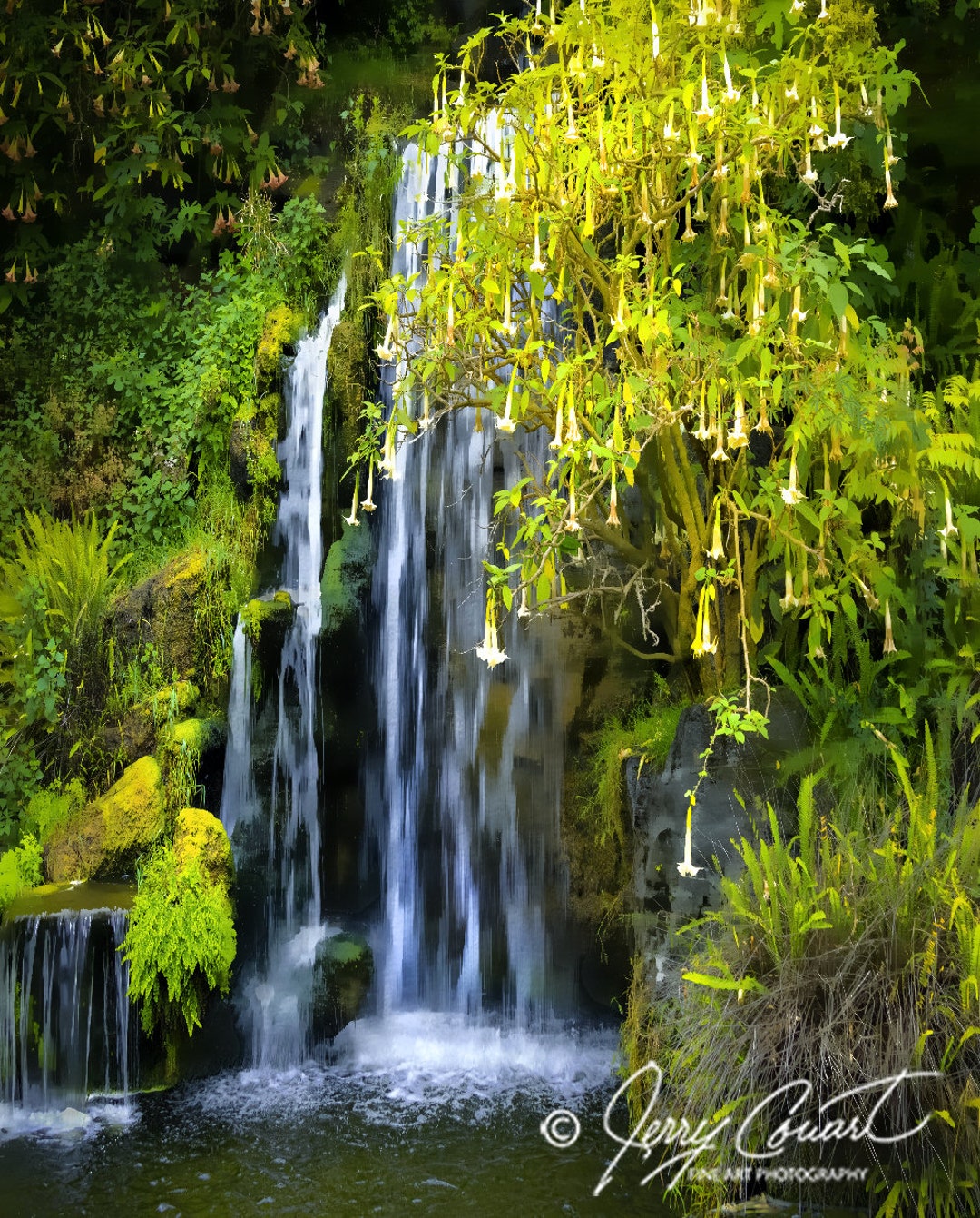 Silky Waterfalls Fine Art Photography Print, Waterfalls Flowers Pond ...