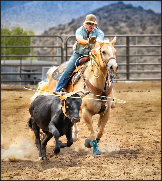 Rodeo Cowboys Photography