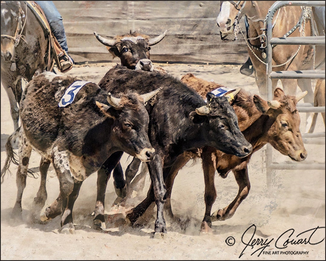 Cowboy Cattle Photo Prints, Cattle Ranch Photography, Cattle Picture ...