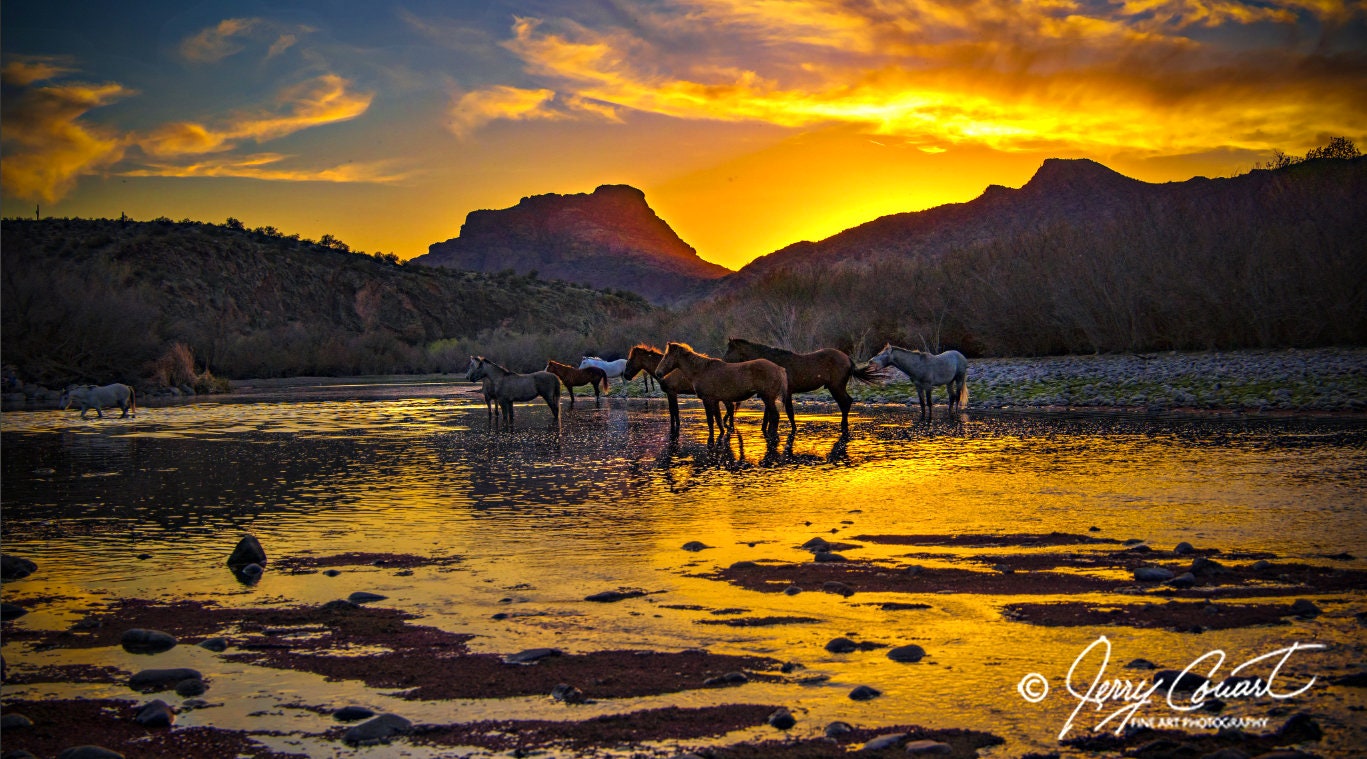 Wild Horses Sunset