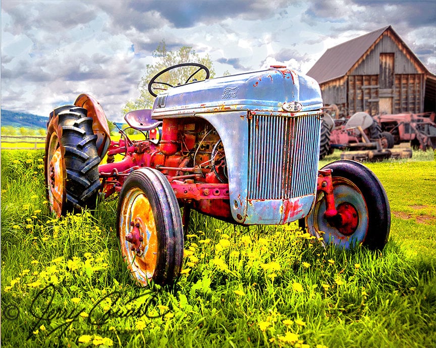 Ford Tractor In Field