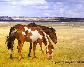 Open Range Horses - Etsy