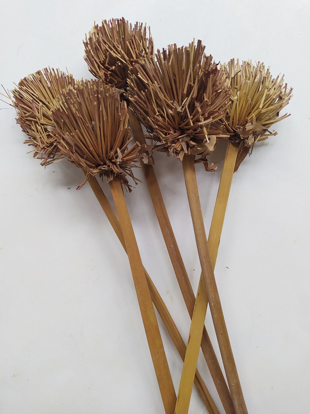 Dried Open Natural Papyrus Brush Bunch - Wedding Decoration - Rustic ...