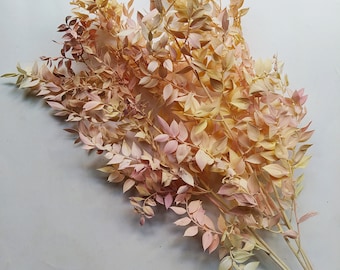 FANTASTIC Preserved YELLOW Italian Ruscus Bunch Wedding | Etsy