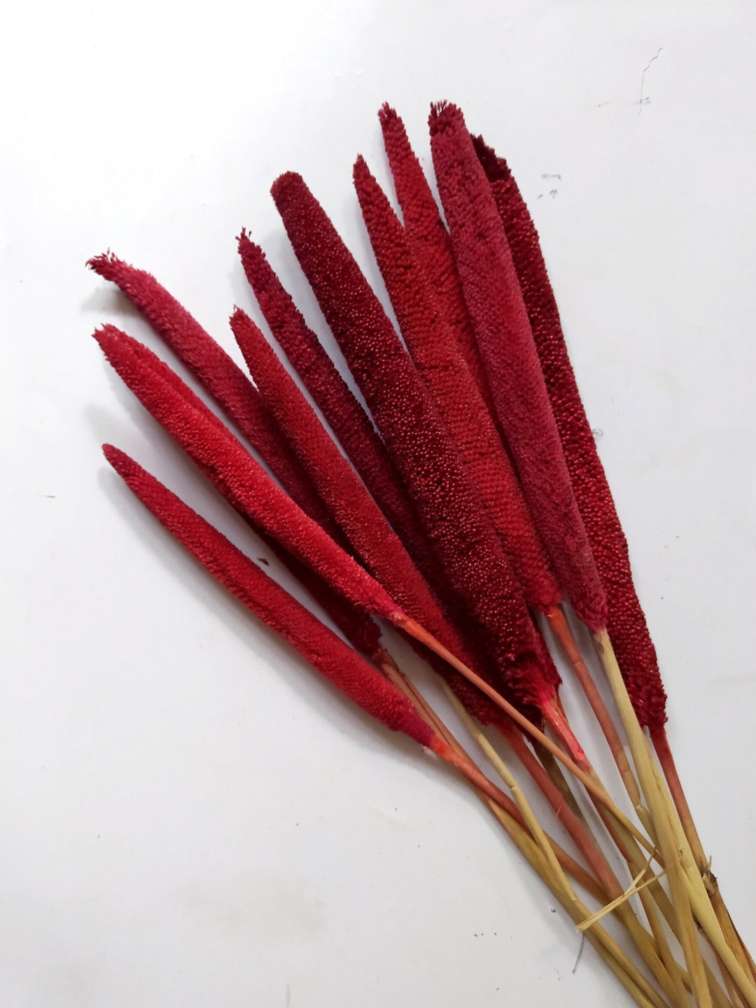 10 X Dried Red Babala Stems - Home Decoration - Rustic Bouquets ...