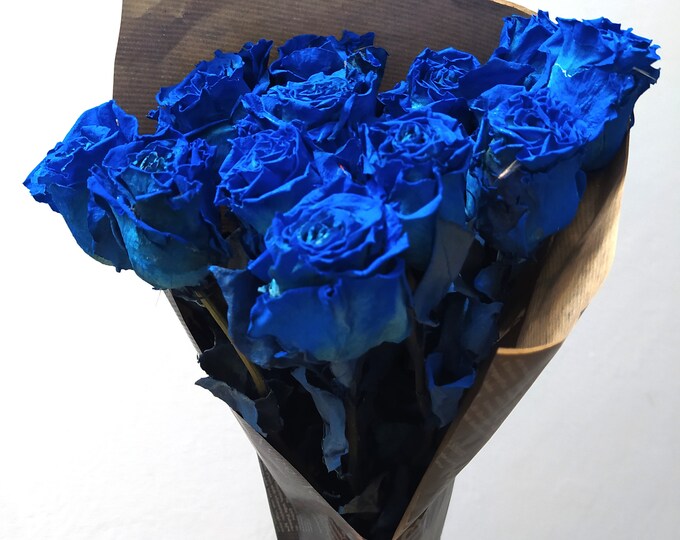 STUNNING COLOR Dried Ecuadorian Blue Roses COLORED Air Dried ...